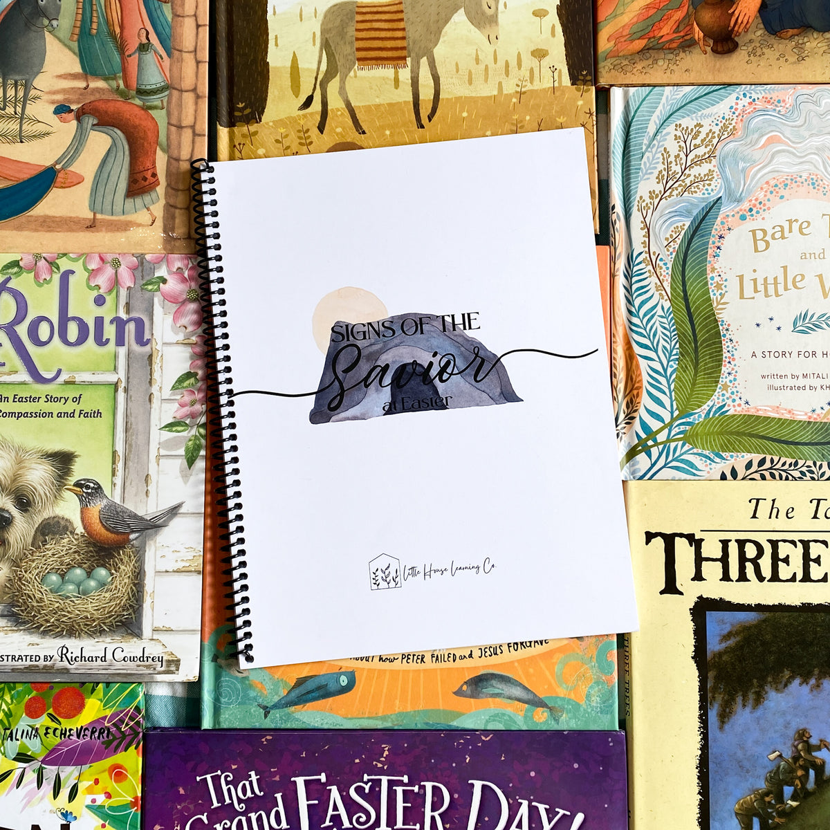 Signs of the Savior – Little House Learning Co.